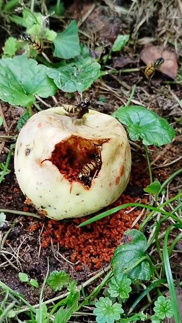 Тук-тук тук есть кто дома..Про тех кто живёт рядом..