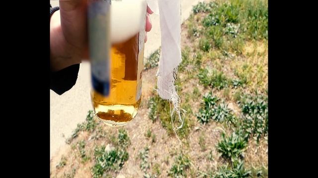 Противодействие терроризму и экстремизму 3