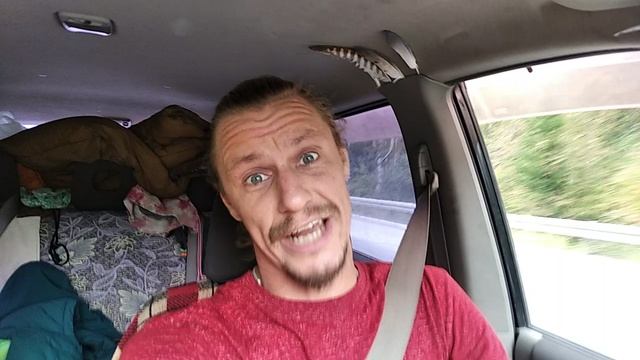 КиШ - Дурак и Молния! 😎⚡🔥