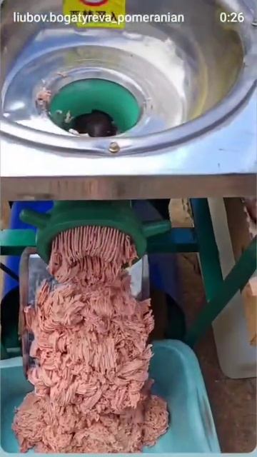 Мощная мясорубка-костедробилка MS42 GRINGO перемалывает курицу с костью