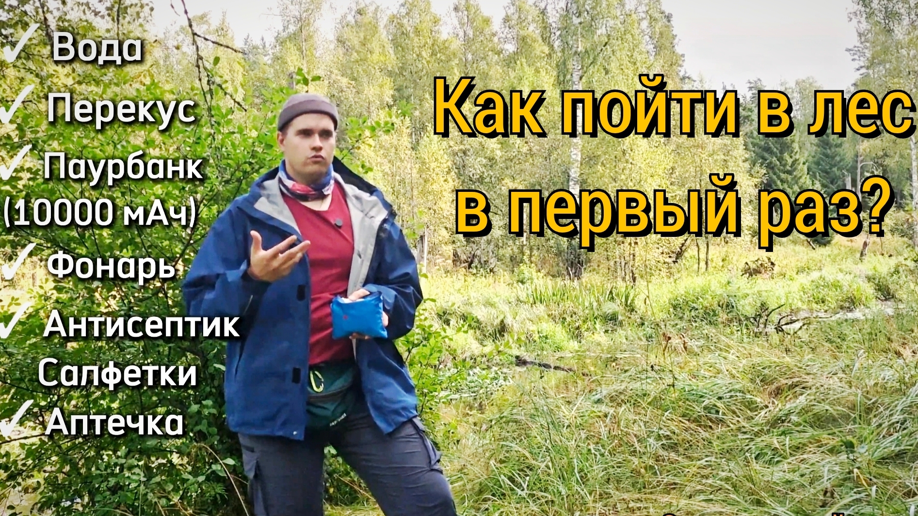 Как пойти в лес в первый раз? Однодневный поход