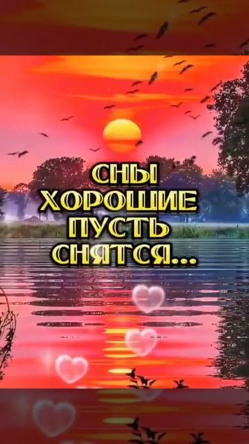 Доброй ночи сладких снов