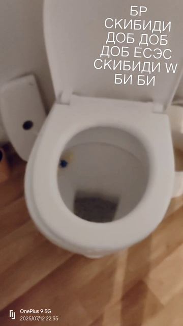 ПРИКОЛ С УНИТАЗОМ