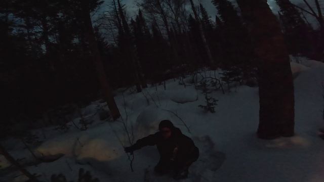 Как мы ехали домой ночью напрямую)