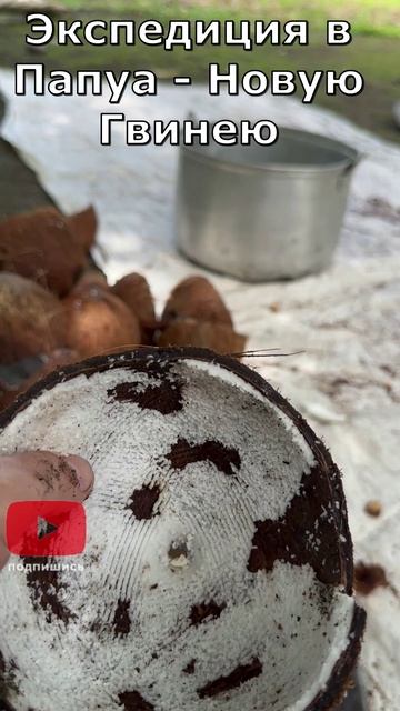 281. Копра и кокосовое молоко