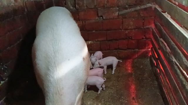 С началом осени всех.