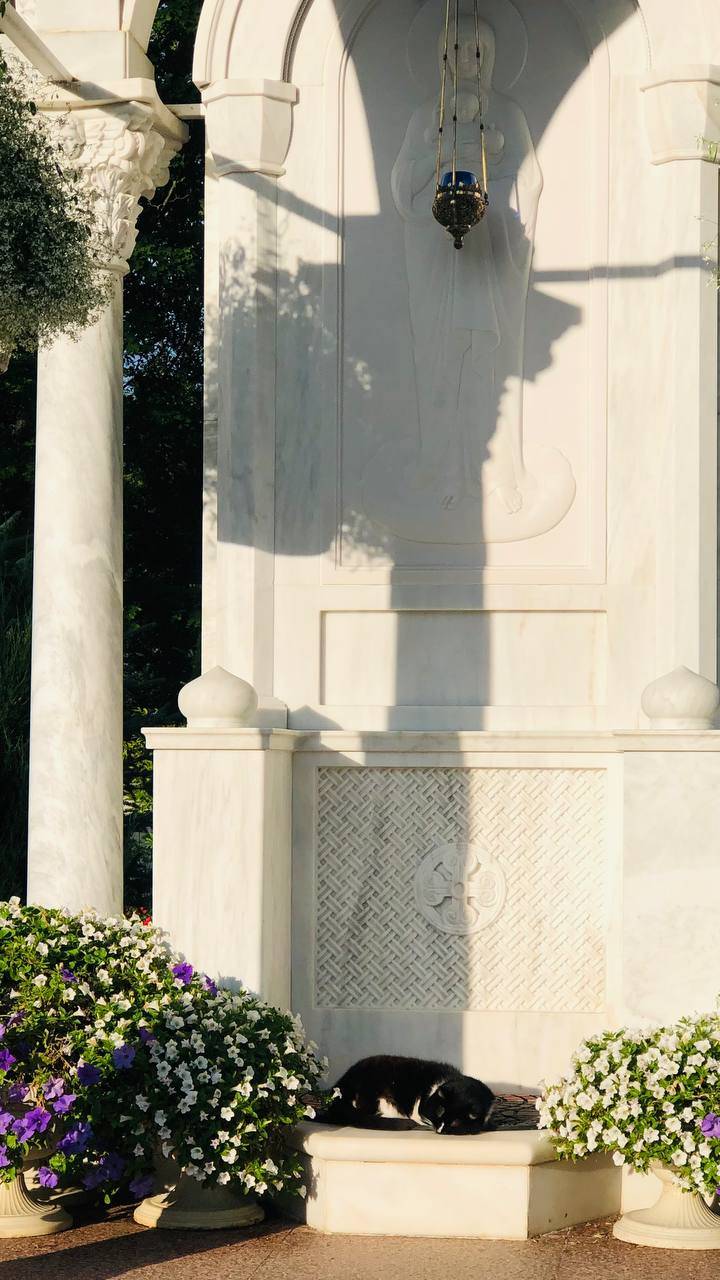 ВАЛААМ НА УСПЕНИЕ БОГОРОДИЦЫ'25