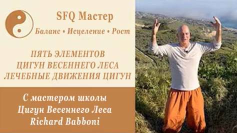 Ци10-07 Воскресенье, утренний цигун с SFQ мастером Richard Babboni. Цигун Весеннего Леса (Чуньи Лин)