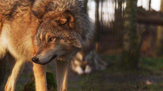 27400-363524230_small