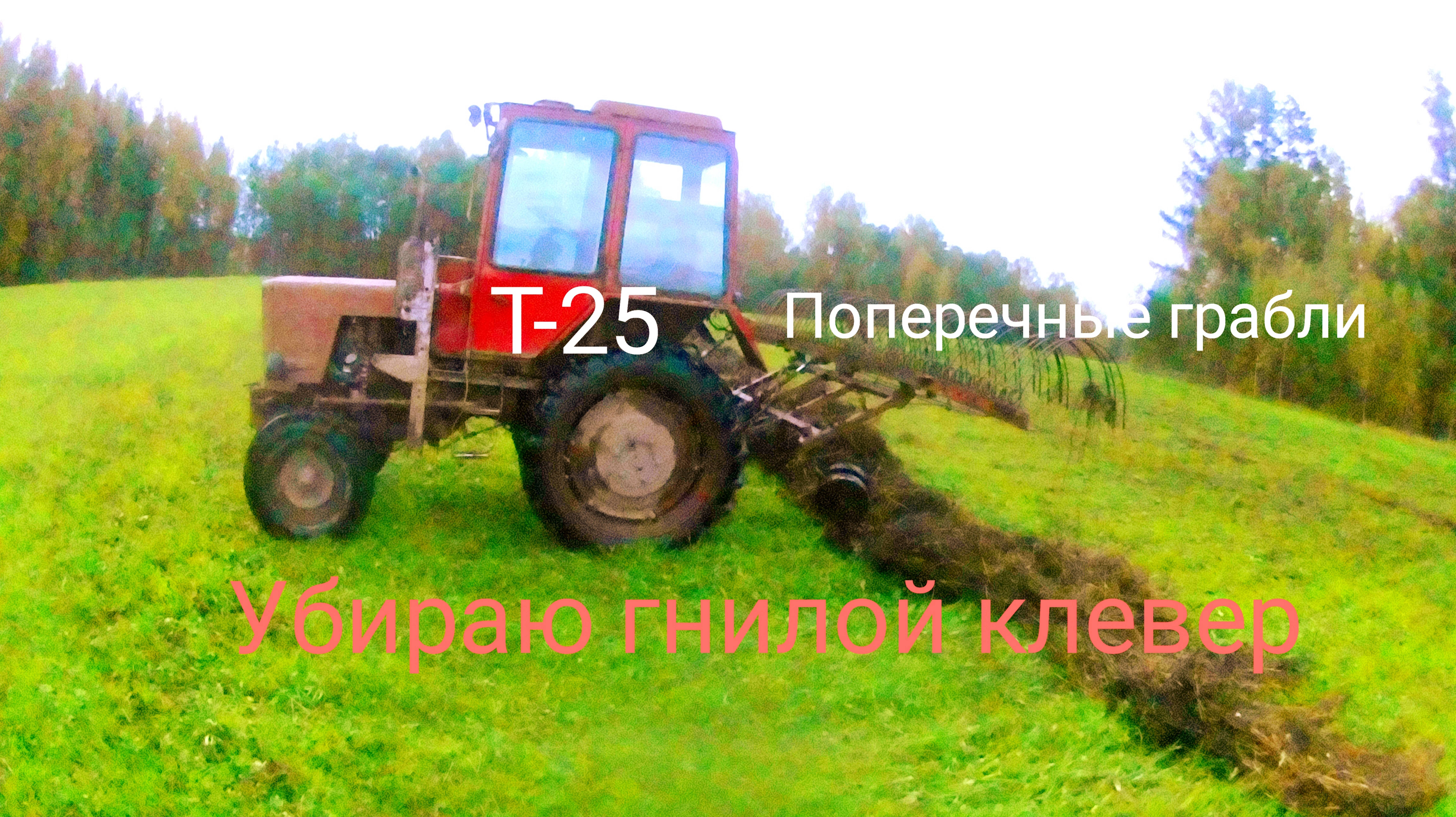 Т-25 с поперечными граблями. Проверил силос в минирулонах. Убрал гнилые валки сена.