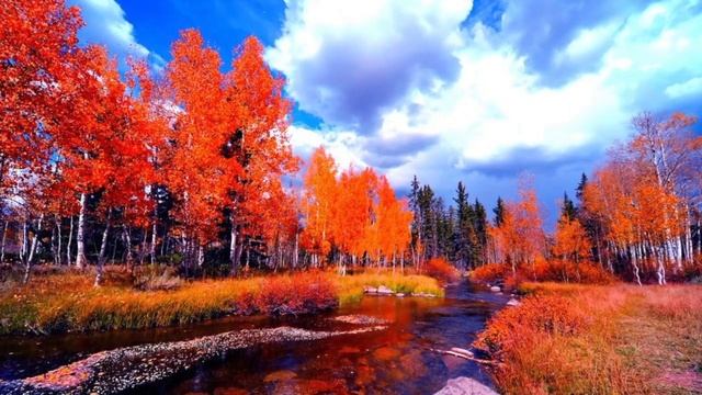 моя осенняя любовь  музыка и исполнение Олег Сапегин,слова Татьяна Зуева