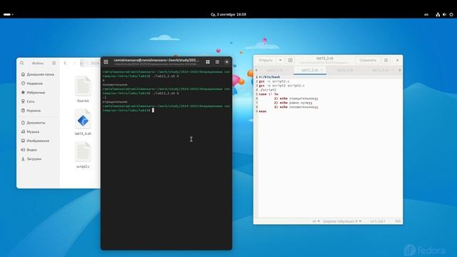 Альманасра Лабораторная работа 13