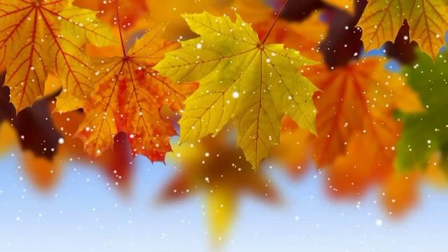 Футаж Осень