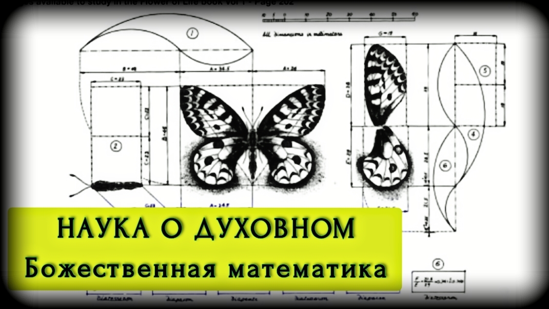 Наука о Духовном | БОЖЕСТВЕННАЯ МАТЕМАТИКА