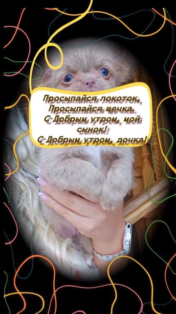 музыка видео юмор с  добрым утром малыши