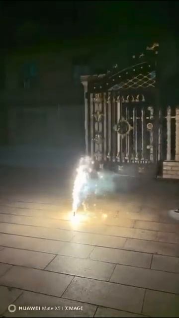 FPC232 Фонтан+жук+треск