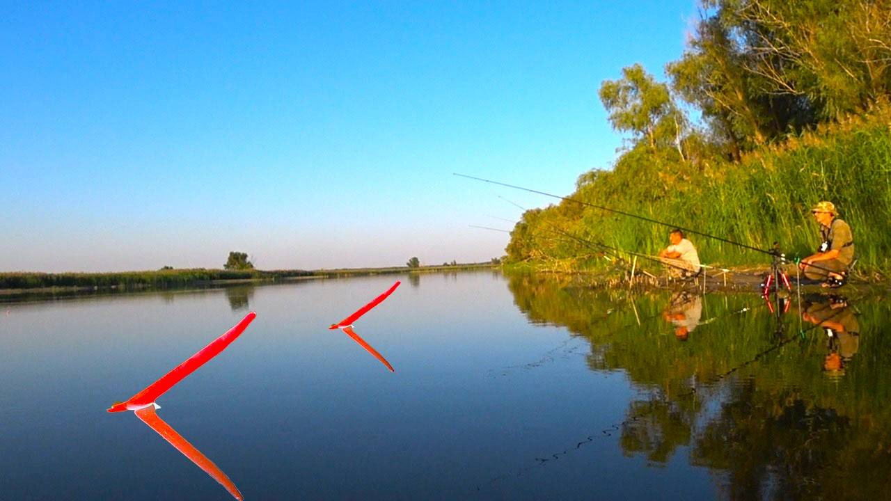 ЖОР САЗАНА НА ПОПЛАВОК - УТАСКИВАЕТ УДОЧКИ!! Рыбалка на поплавок осенью