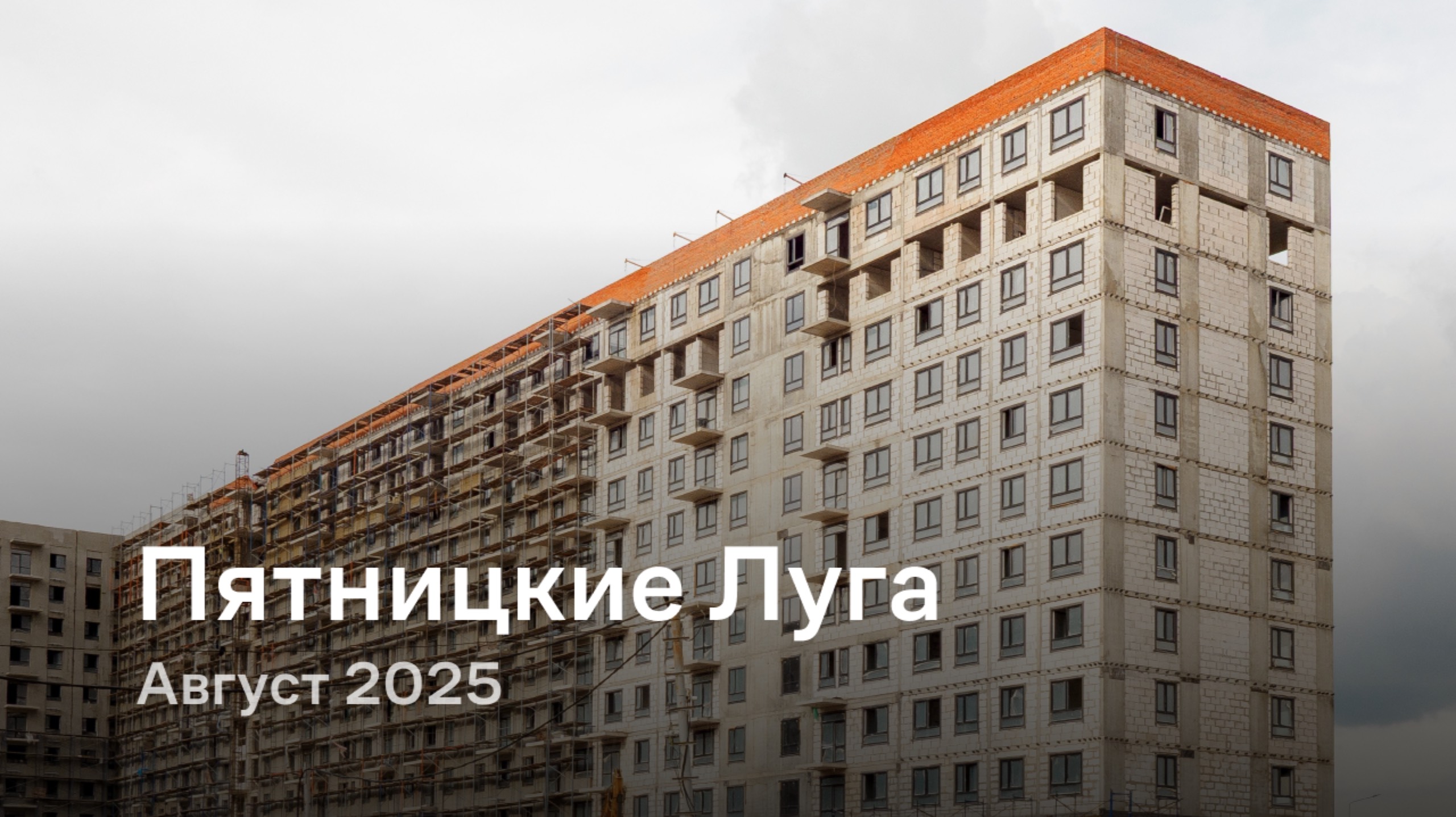 «Пятницкие Луга» / август 2025