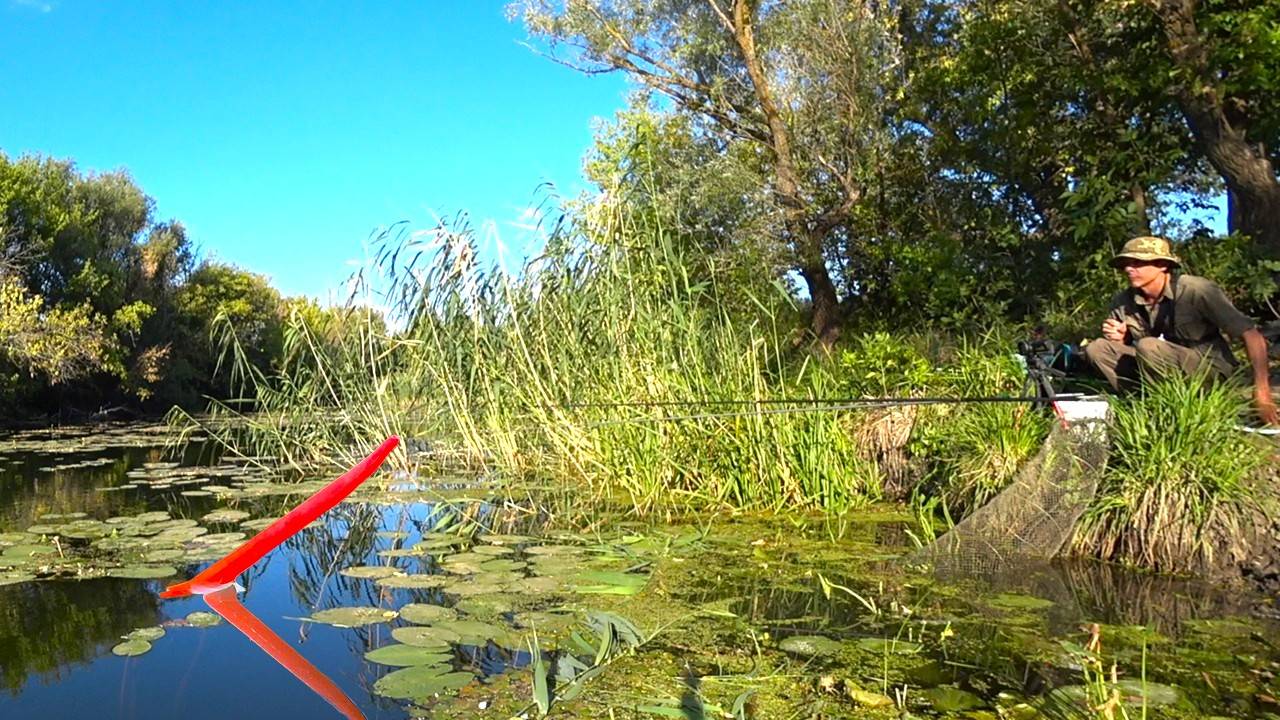 КАРАСИ ЛОПАТЫ И ОНО... ПЕРЕМЕШАЛО КУВШИНКИ!! Рыбалка на поплавок