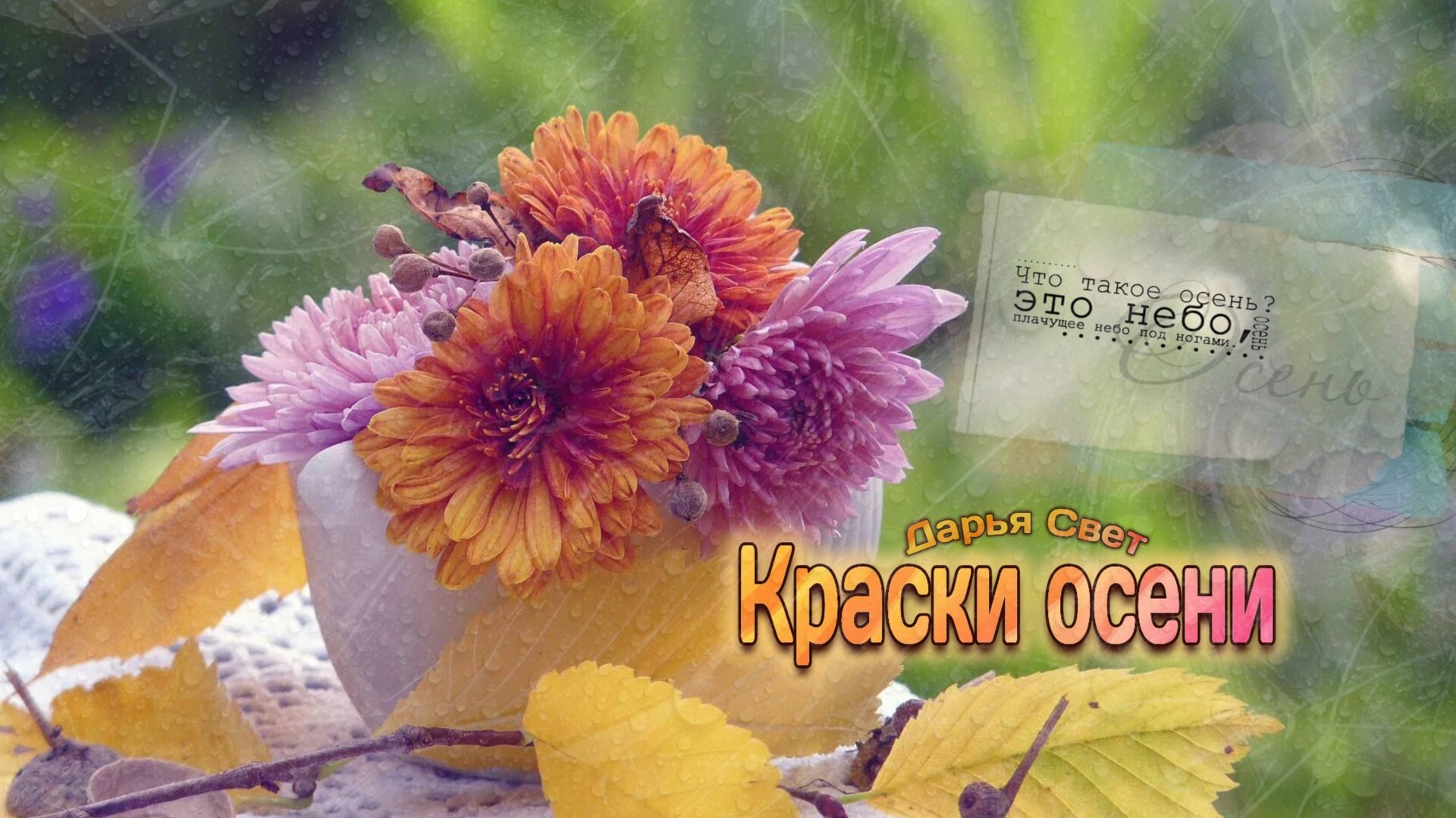 На календаре осень, а за окном лето. Розы в сентябре. ВДНХ. Осень 2025