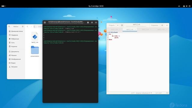 Альманасра Лабораторная работа 12