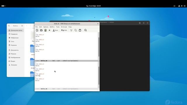 Альманасра Лабораторная работа 11