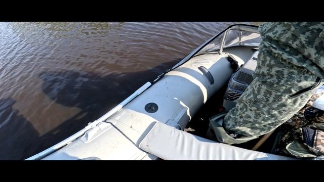 Щука, ловля на поверхностные приманки , река Пур ЯНАО 09.08.2025