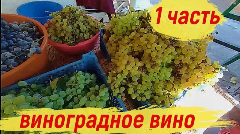 Делаем домашнее вино из трех сортов винограда 1 Часть