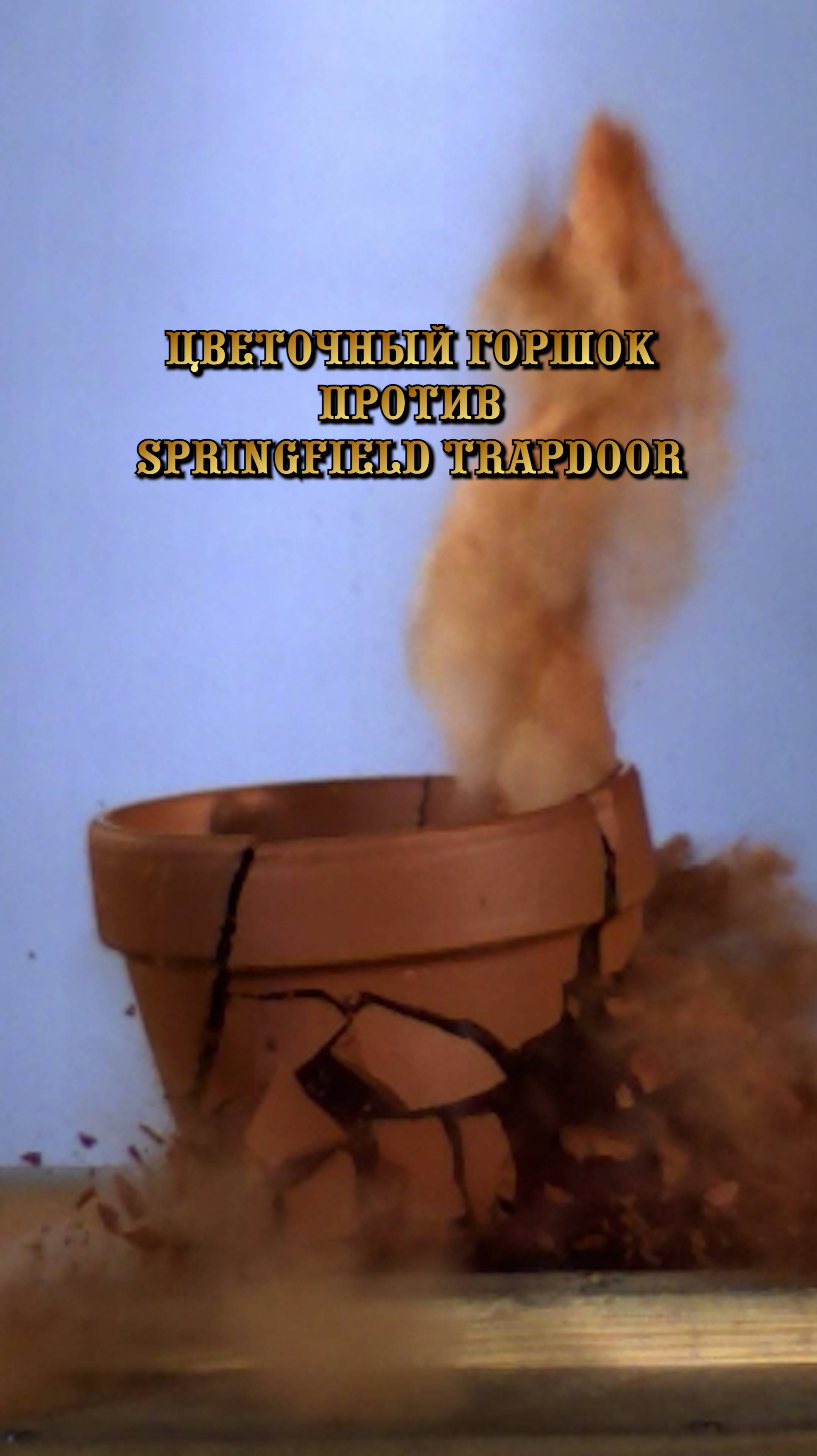 Цветочный горшок против Springfield trapdoor