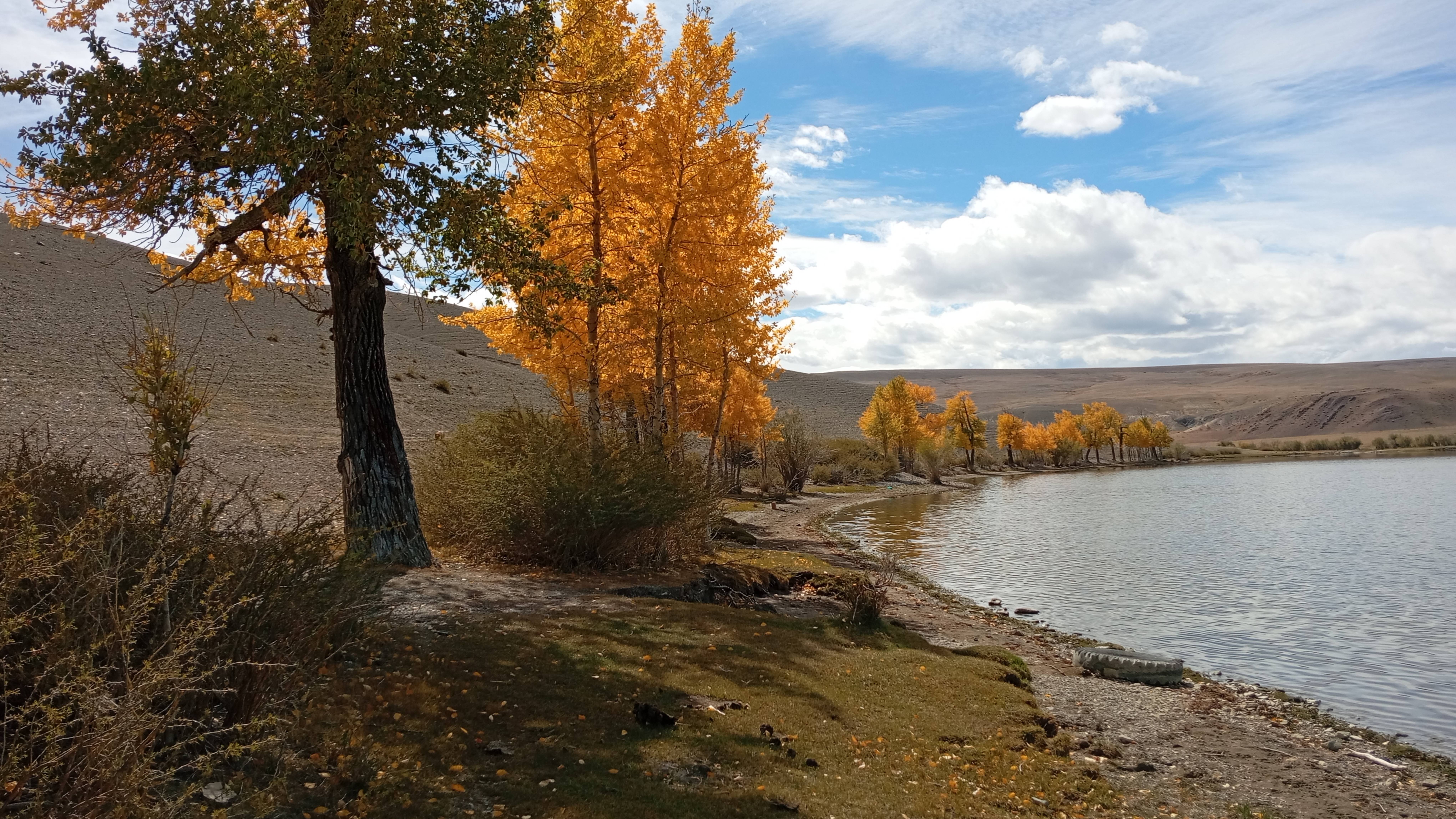 Любуемся вместе с нами пейзажами Горного Алтая!❤️❤️❤️