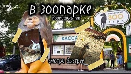 В зоопарке :) смотрите до конца