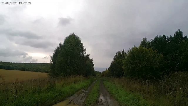 Едем к облепиховой горе.