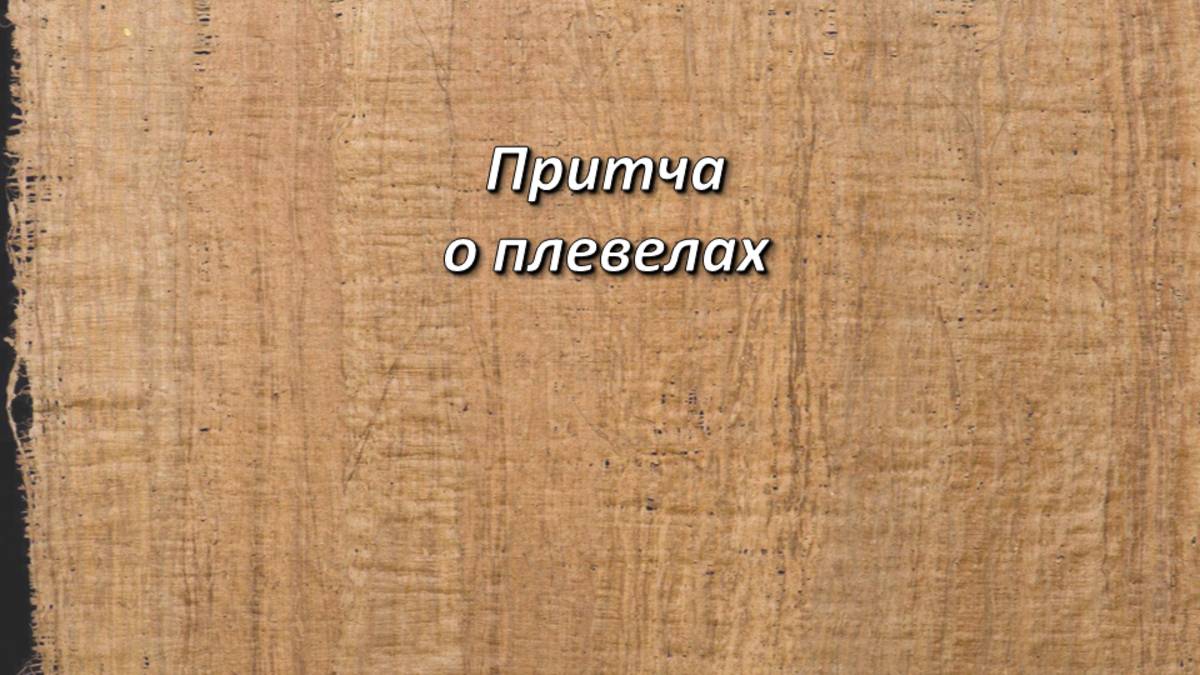 От Матфея, 13;24-30. Притча о плевелах.