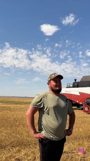 Уборочная кампания в Акмолинской области (Казахстан). Итоги работы посевного комплекса серии L