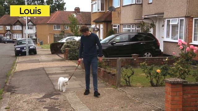 B1 UNIT 1 Life skills video