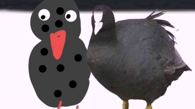 Чайчонок, серия "Авиажизнь"