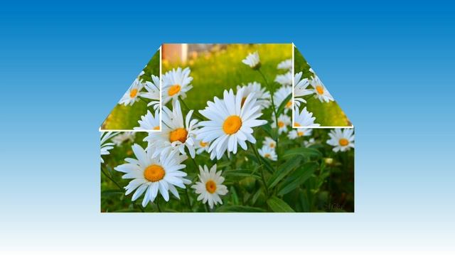 С днем рождения!