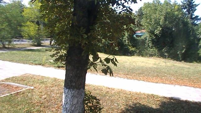 DSCN8317Ессентуки Санаторий Виктория городское озеро Фестиваль воздухоплавания