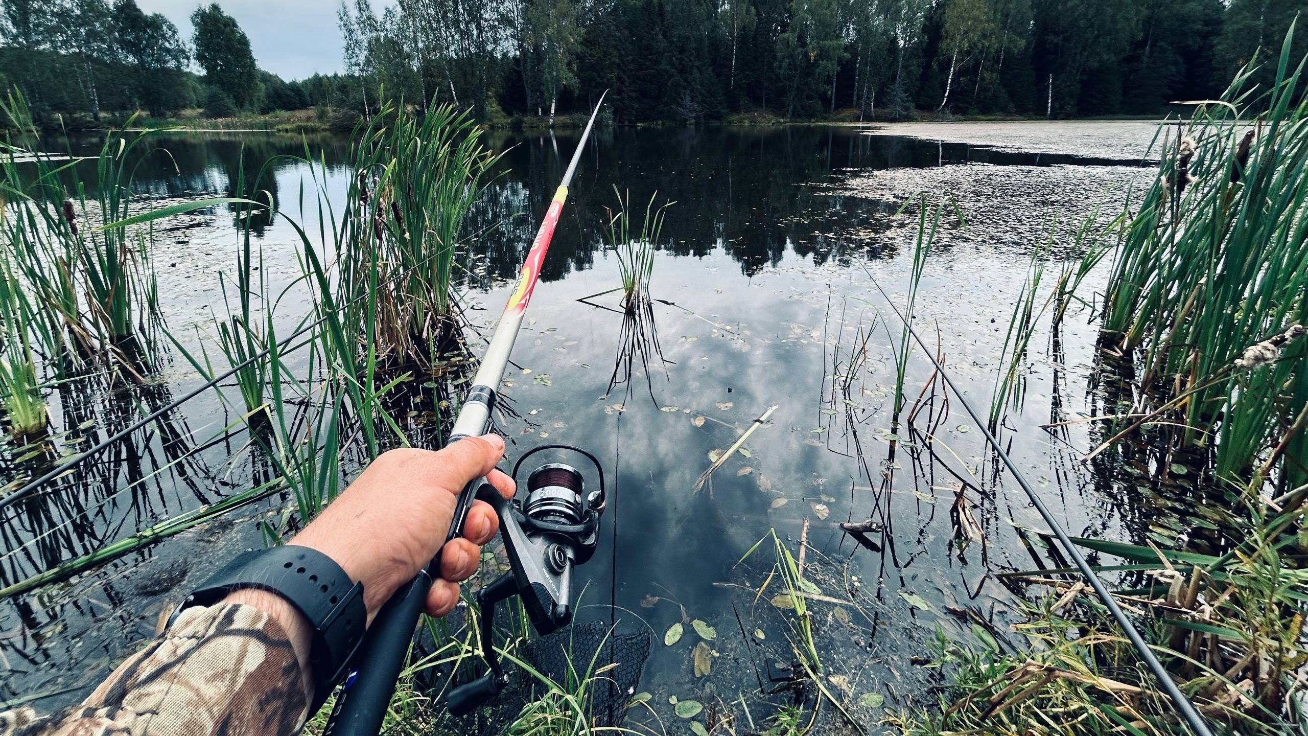ХОТЕЛ СОБИРАТЬСЯ ДОМОЙ И ТУТ ПОНЕСЛОСЬ! КЛЮЮТ ГИГАНТСКИЕ КАРАСИ! РЫБАЛКА НА ПОПЛАВОК ОСЕНЬЮ.