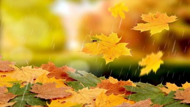 🍂 Футаж Осень // Листья, дождь // фон для текста и заставки