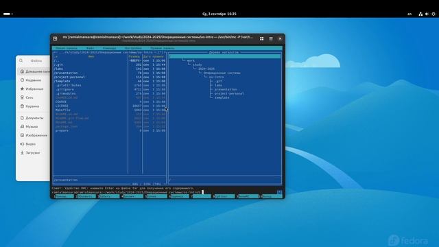 Альманасра Лабораторная работа 09