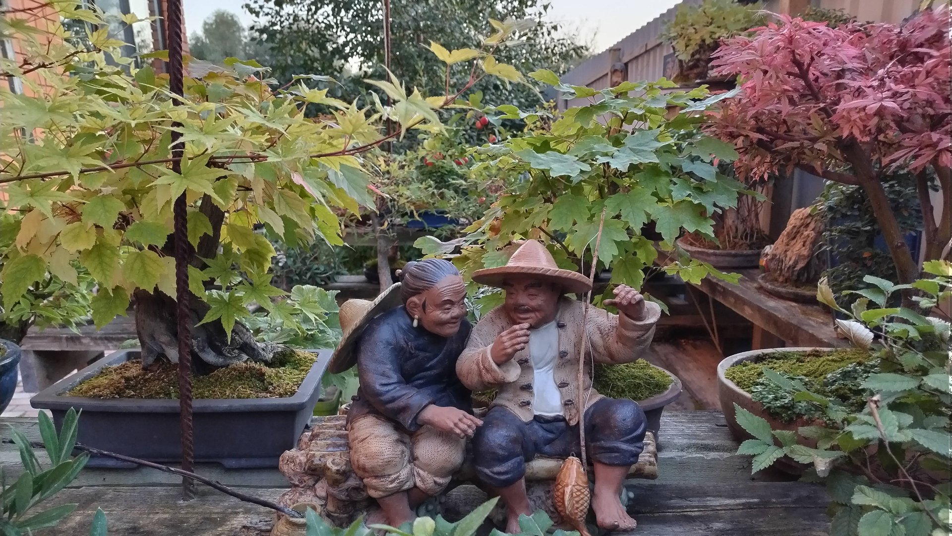 БонZай осень 2025 год