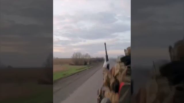 Четвертый год...