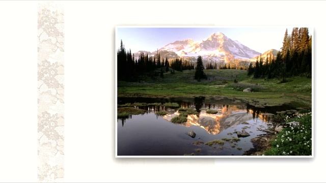 Nilotpala - Кружева Воспоминаний