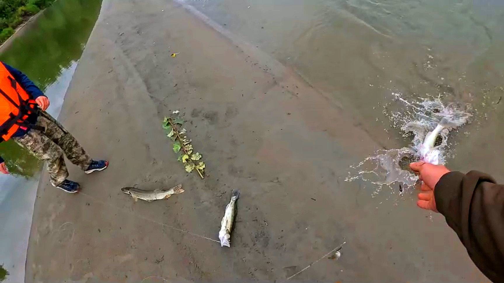 ТОЛЬКО ПОСТАВИЛИ РЕЗИНКИ И СРАЗУ ТАКОЕ! Сын тащит ЩУКУ БОЛЬШЕ СЕБЯ, ЧУТЬ С ЛОДКИ НЕ ВЫЛЕТЕЛ!