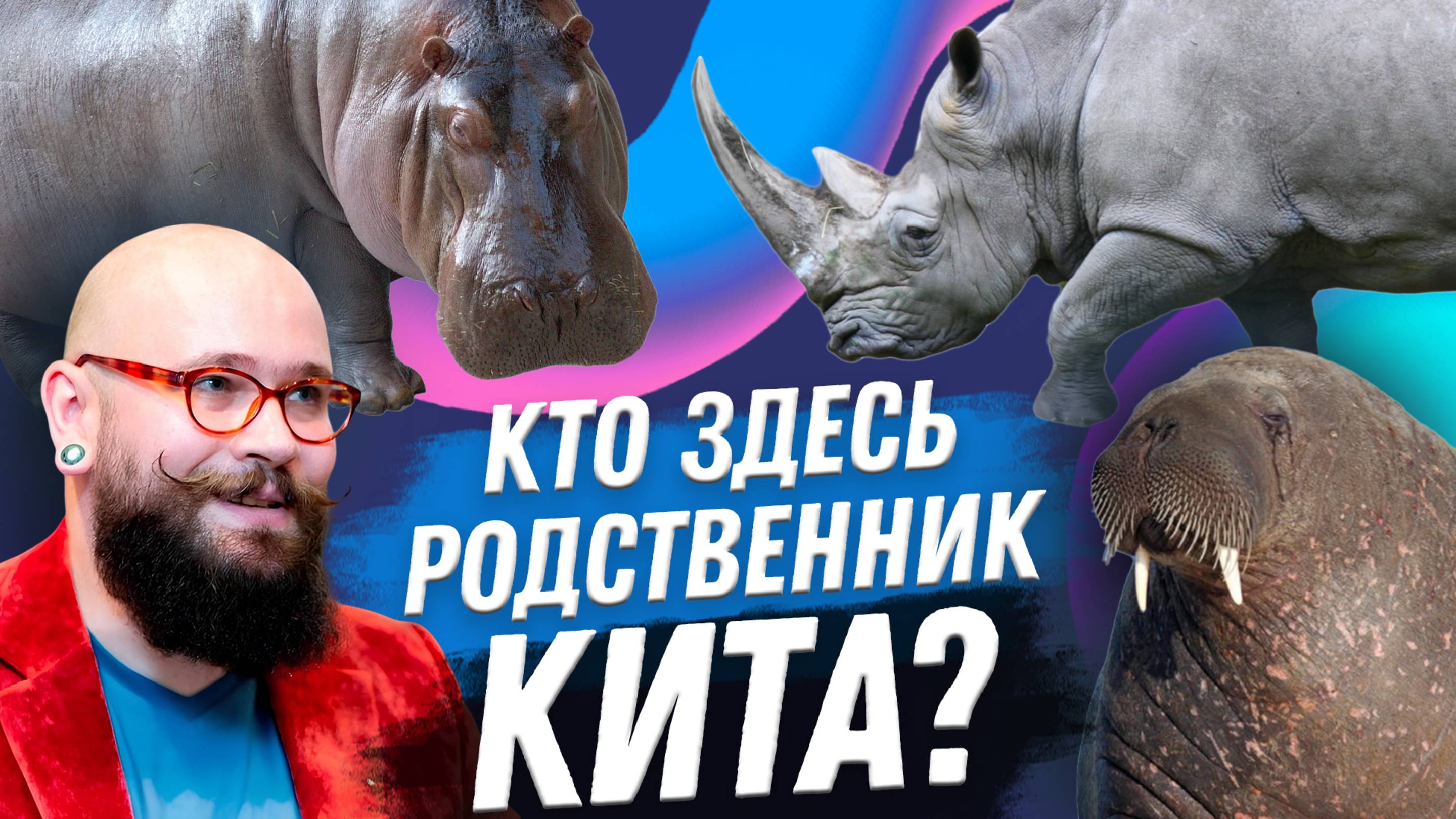 Кто кому родственник у животных? Почему учебники по биологии устарели? | День Недостающего Звена 3-6