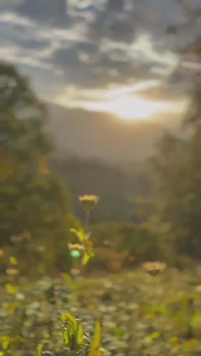 Горы! Заказник! Река Большая Лаба!