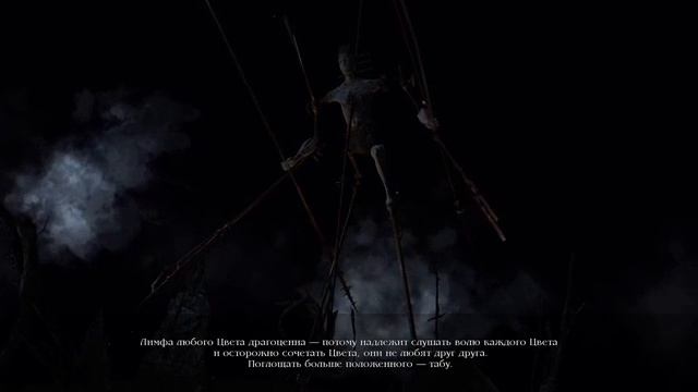 Прохождение Тургор