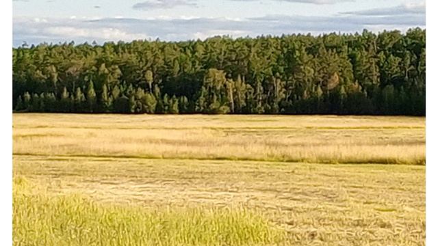 Фото от Владимира Маркова