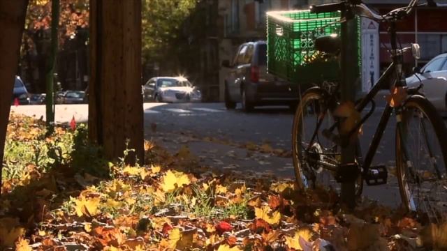 Мы будем пить любовь_ Музыка и исполнение_ Олег Сапегин,слова_ Татьяна Зуева,Олег Сапегин